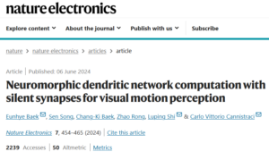 Nature Electronics | 类脑形态树突网络计算模型 – 清华大学类脑计算研究中心